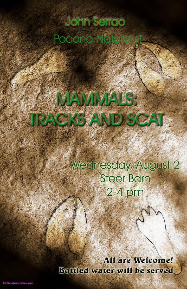 Mammals: Tracks and Scat by Kit-Designs on DeviantArt