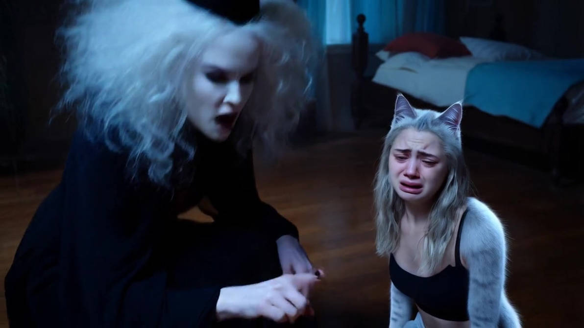 Cat TF (94) by TFerret121 on DeviantArt