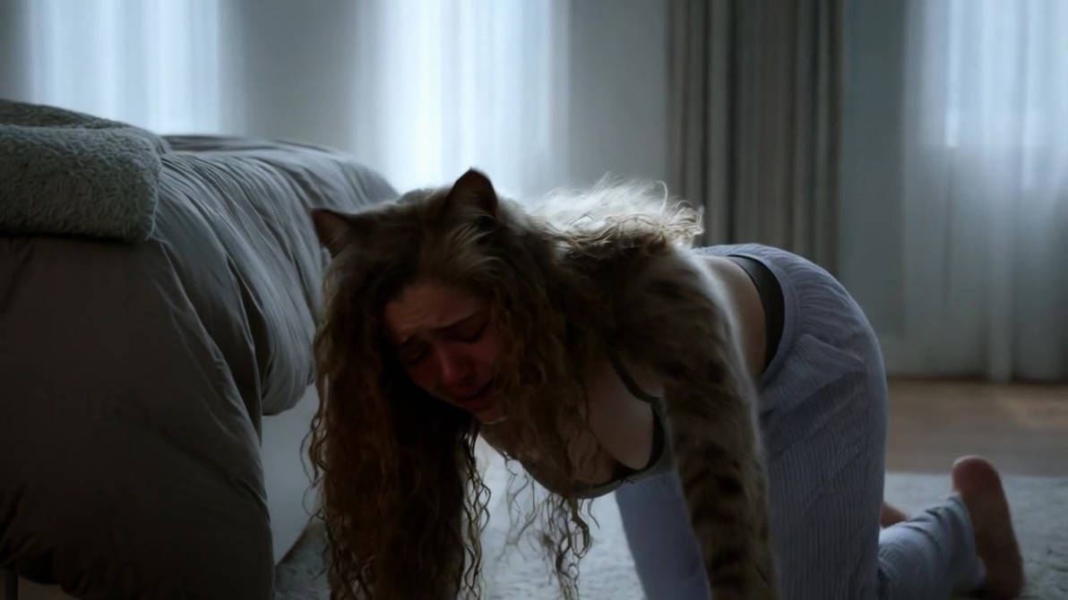 Cat TF (84) by TFerret121 on DeviantArt