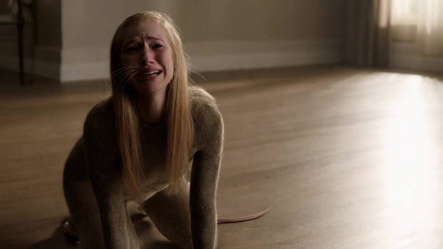 Explore the Best Mousetransformation Art | DeviantArt