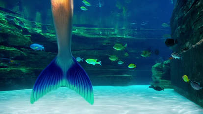 TFerret121 - Hobbyist, Writer | DeviantArt