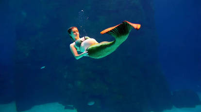 Similar Art to "Mermaid TF (29)" | DeviantArt