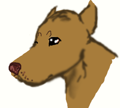 trying to draw a APBT by wolfpup123 on DeviantArt