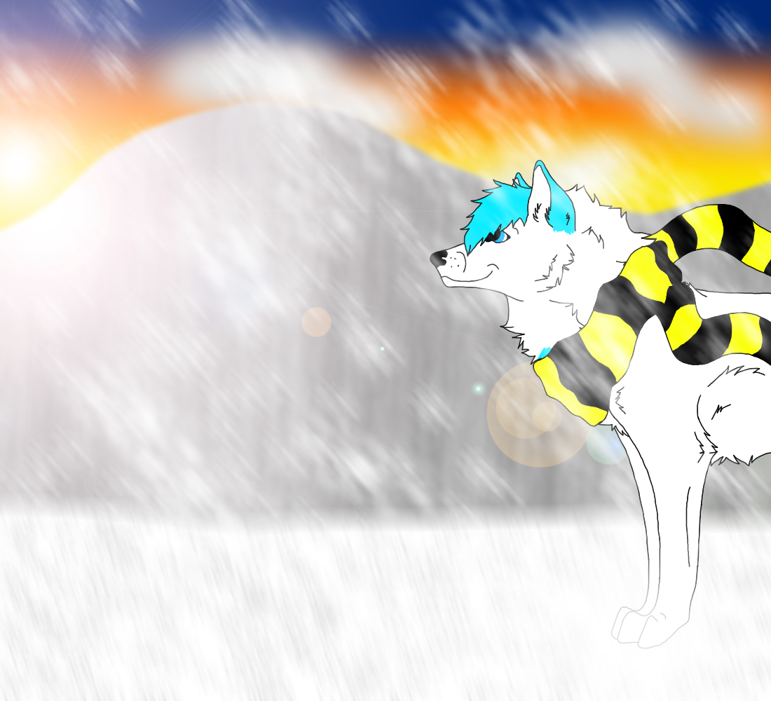 Snow Storm by WolfyTheBlackWolf on DeviantArt