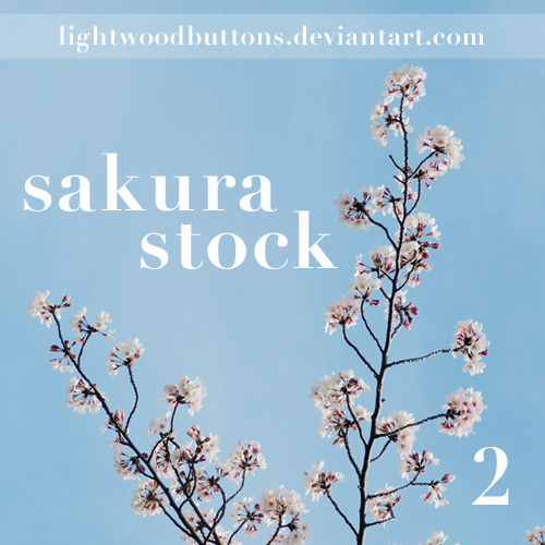 Sakura Pack 02 By Lightwoodbuttons by lightwoodbuttons on DeviantArt