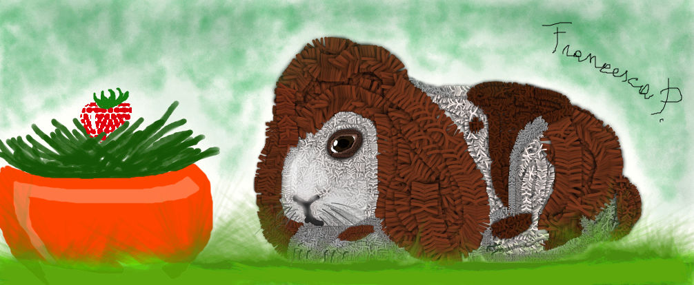 Coniglio ariete (American Fuzzy) by FrancescaROTG on DeviantArt