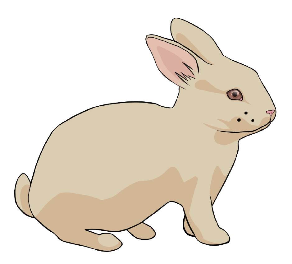 rabbit base by vegi92 on DeviantArt