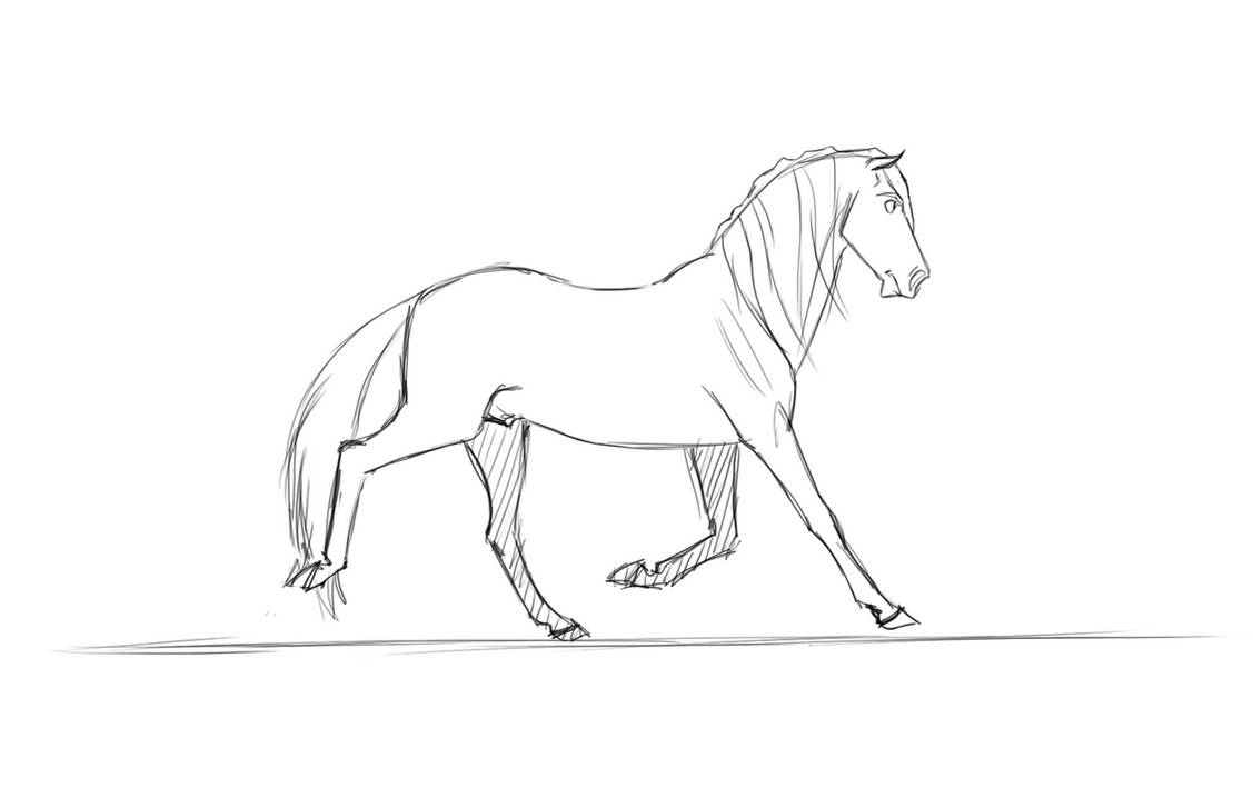 Horse Trot Template animation WIP by Wild-Hearts on DeviantArt