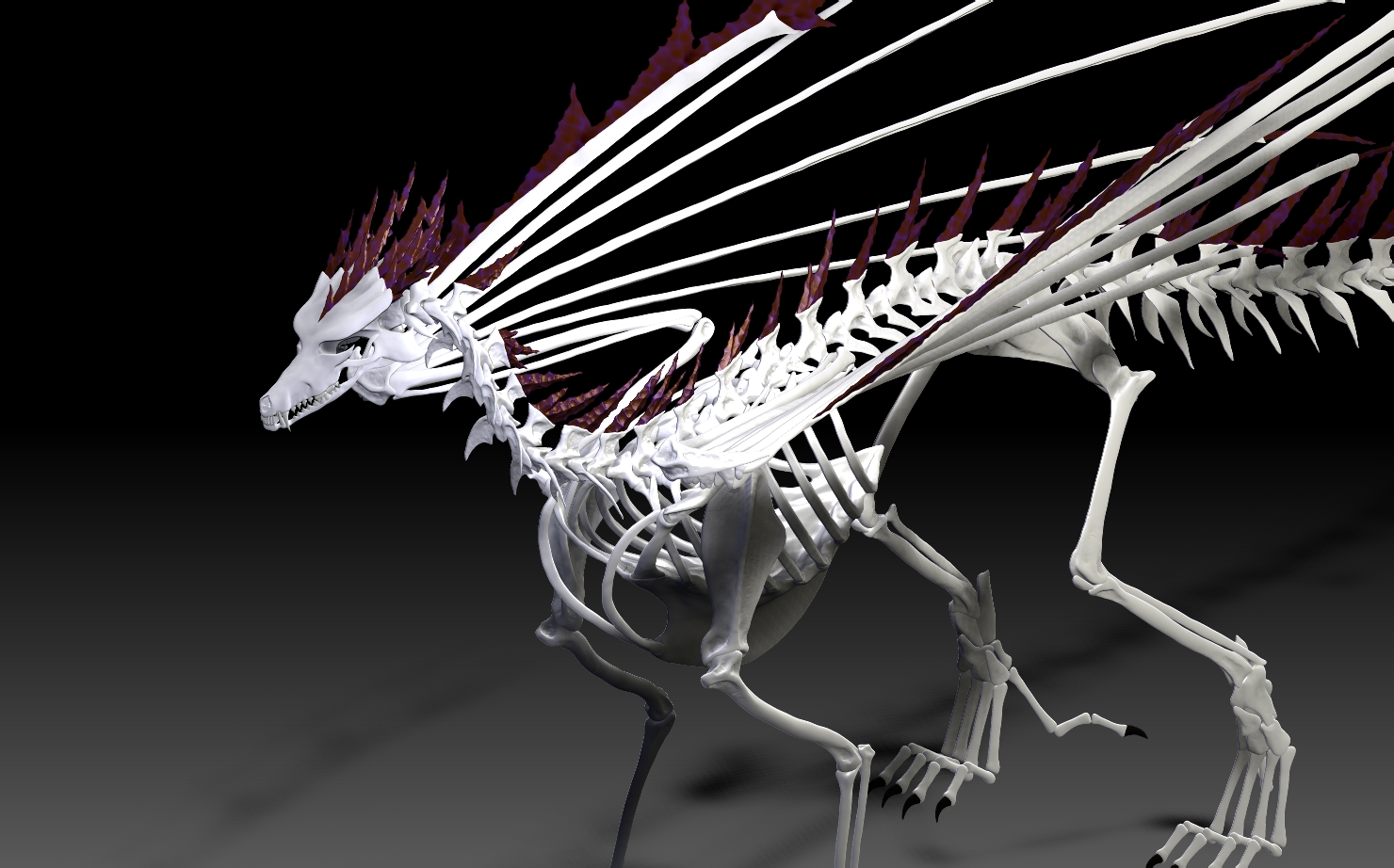 Zerion Skeleton Turntable by Isuldras on DeviantArt