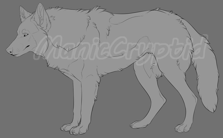 (Lineart) Large Wolf - 1$/150 Points by Manicryptid on DeviantArt