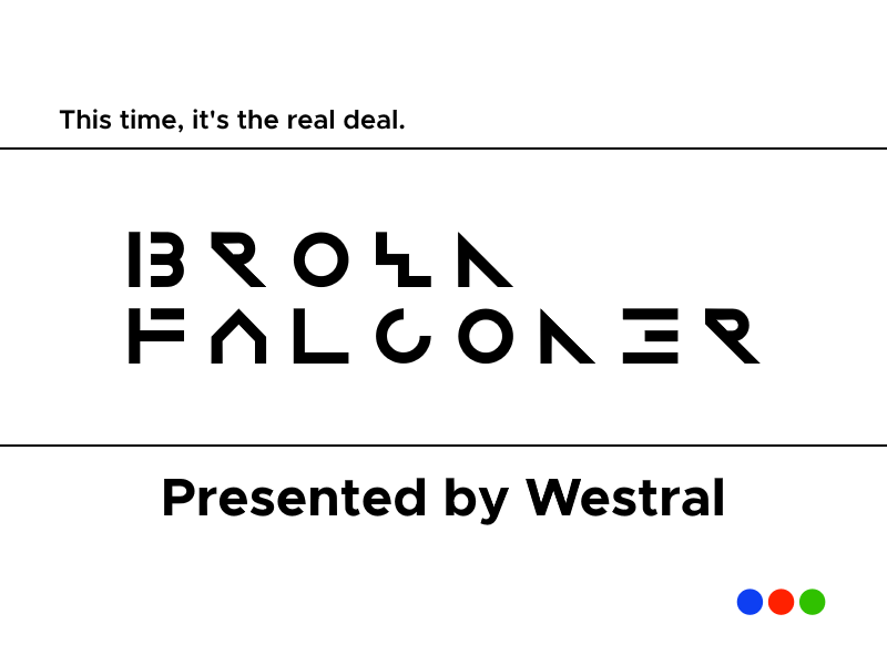 Brown Falconer by LyricWest on DeviantArt