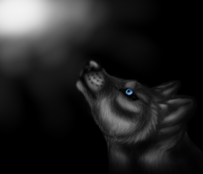 Wolf in cave by Kerama-wolf on DeviantArt