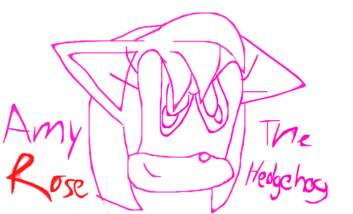 Amy Rose The Hedgehog by Sonicrox101 on DeviantArt