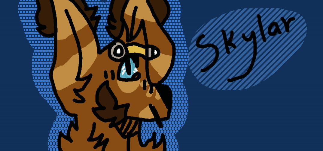 Skylar- redraw by Theshinyeevee321 on DeviantArt