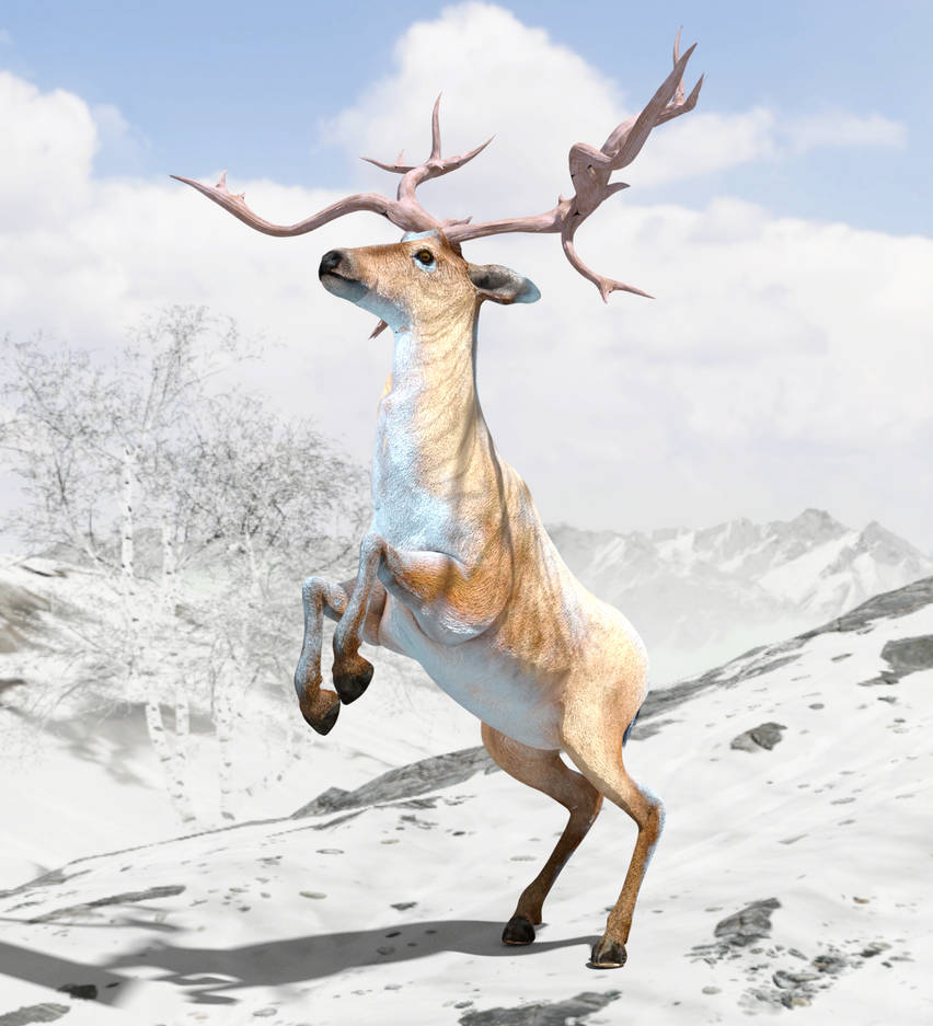 Freebie deer for daz3d by kemelfarias on DeviantArt