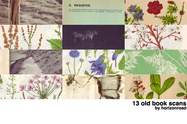 scans_old_books_3 by horizonroad on DeviantArt