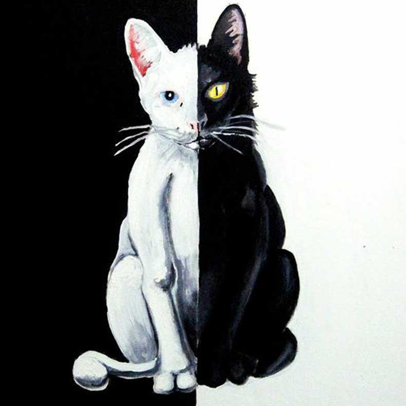 Chat Blanc [Parte I] by floppynoe on DeviantArt