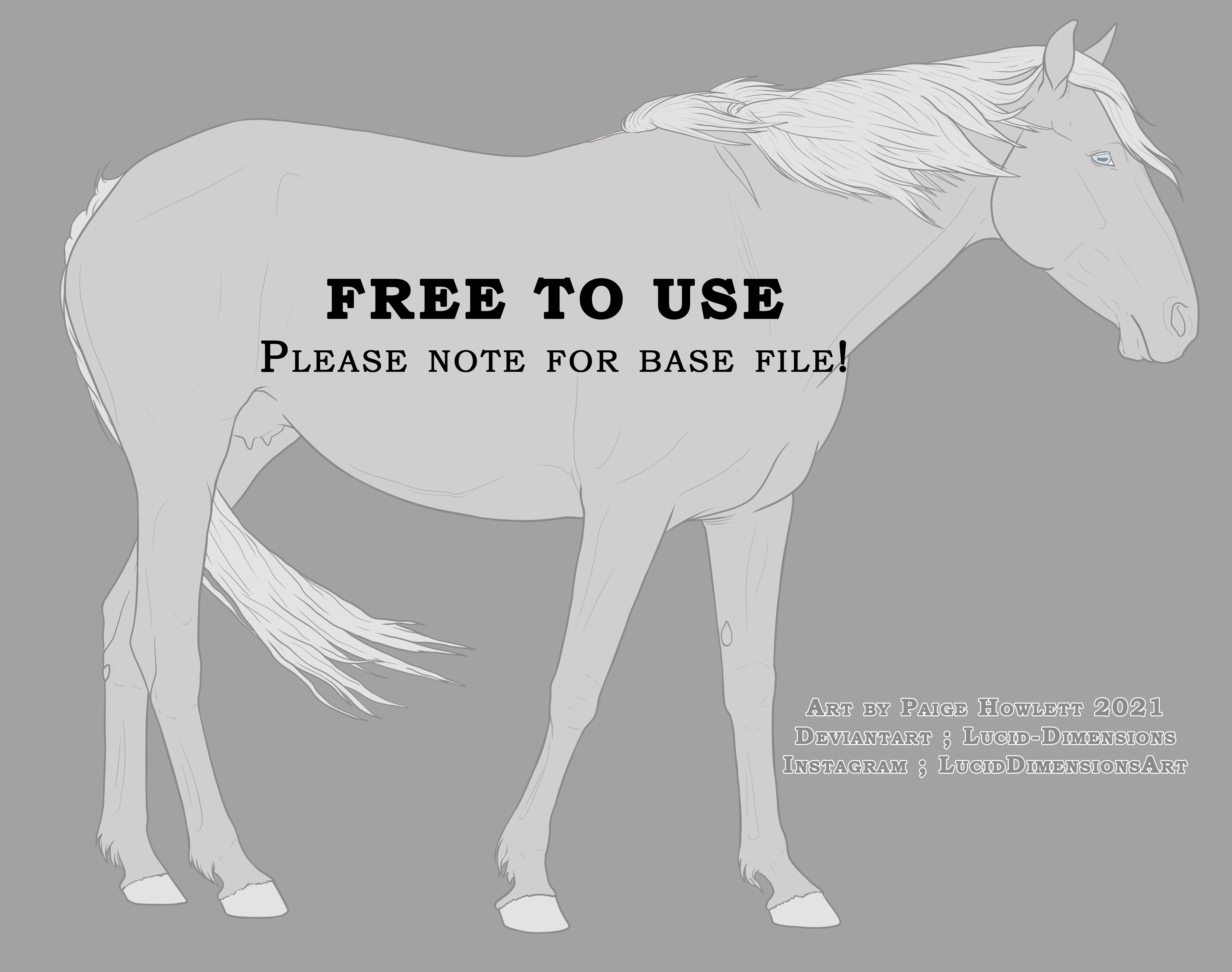 Pregnant Brumby Mare Base F2U by Lucid-Dimensions on DeviantArt