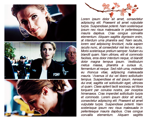 Stream Writing Template #2 by royalxbitchx on DeviantArt