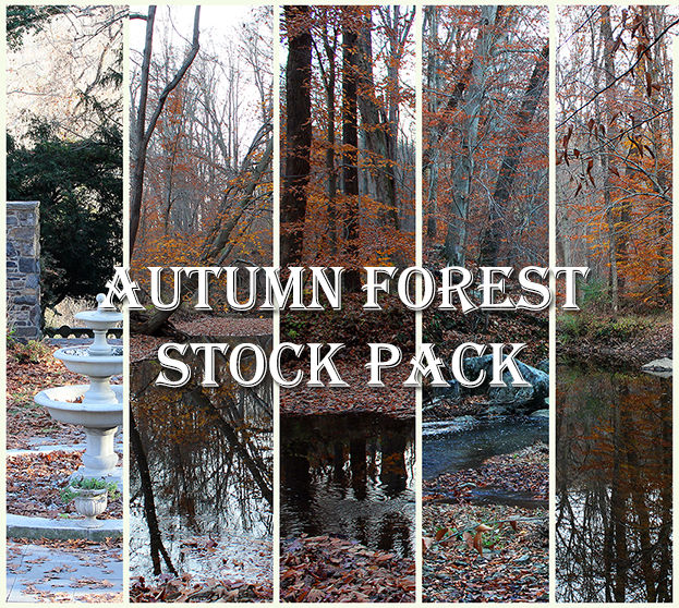 Autumn Forest Premium Stock Pack by Emerald-Depths on DeviantArt Autumn Forest Premium Stock Pack by Emerald-Depths on DeviantArt
