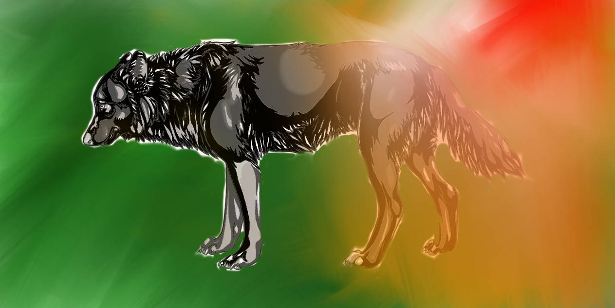 Pack life by bkce14 on DeviantArt