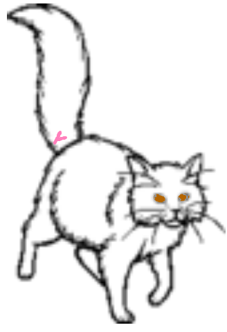 Breezepaw by swiftbird82 on DeviantArt