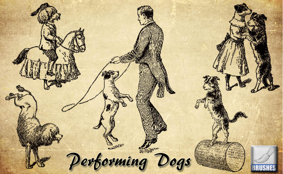Performing Dogs by auRoraBor on DeviantArt
