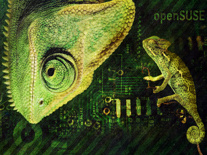 Geeko OpenSUSE Wallpaper by hell0z0mbie on DeviantArt