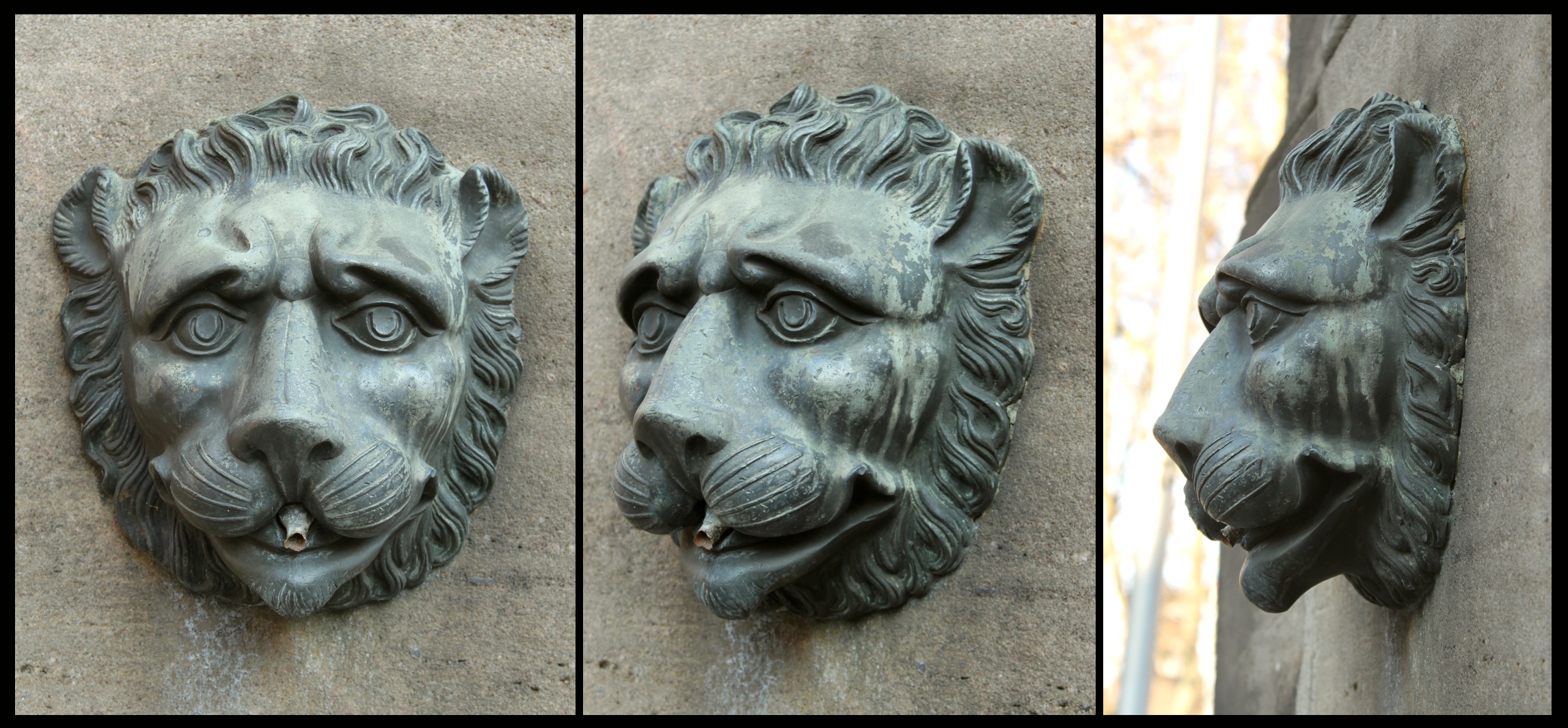Reference Set - Lion Head by AGF81 on DeviantArt