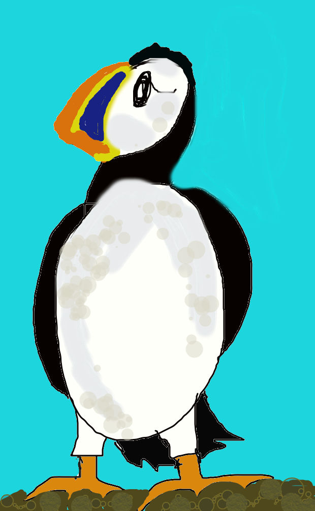 Puffin playin' by MontyMouse on DeviantArt