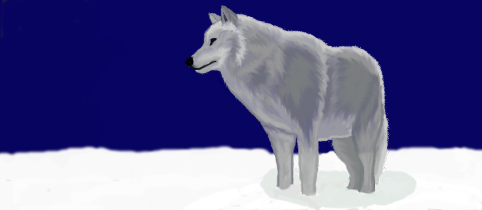 My Little Wolf by RuffletGirl on DeviantArt