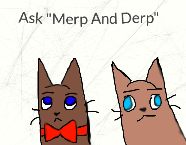 ask Merp And Derp by vurple-cat on DeviantArt
