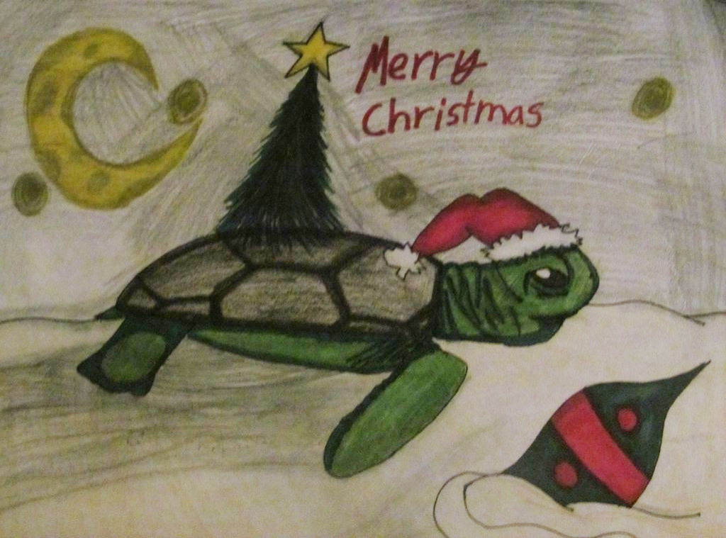 christmas turtle by qpalzmsk12 on DeviantArt