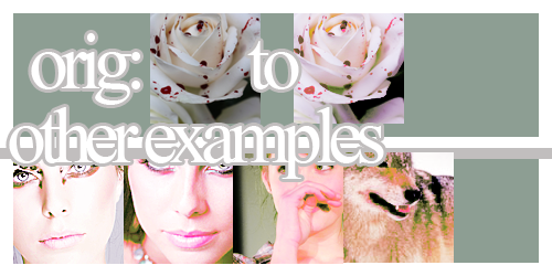 PSD4 by TeQuieroRiss on DeviantArt