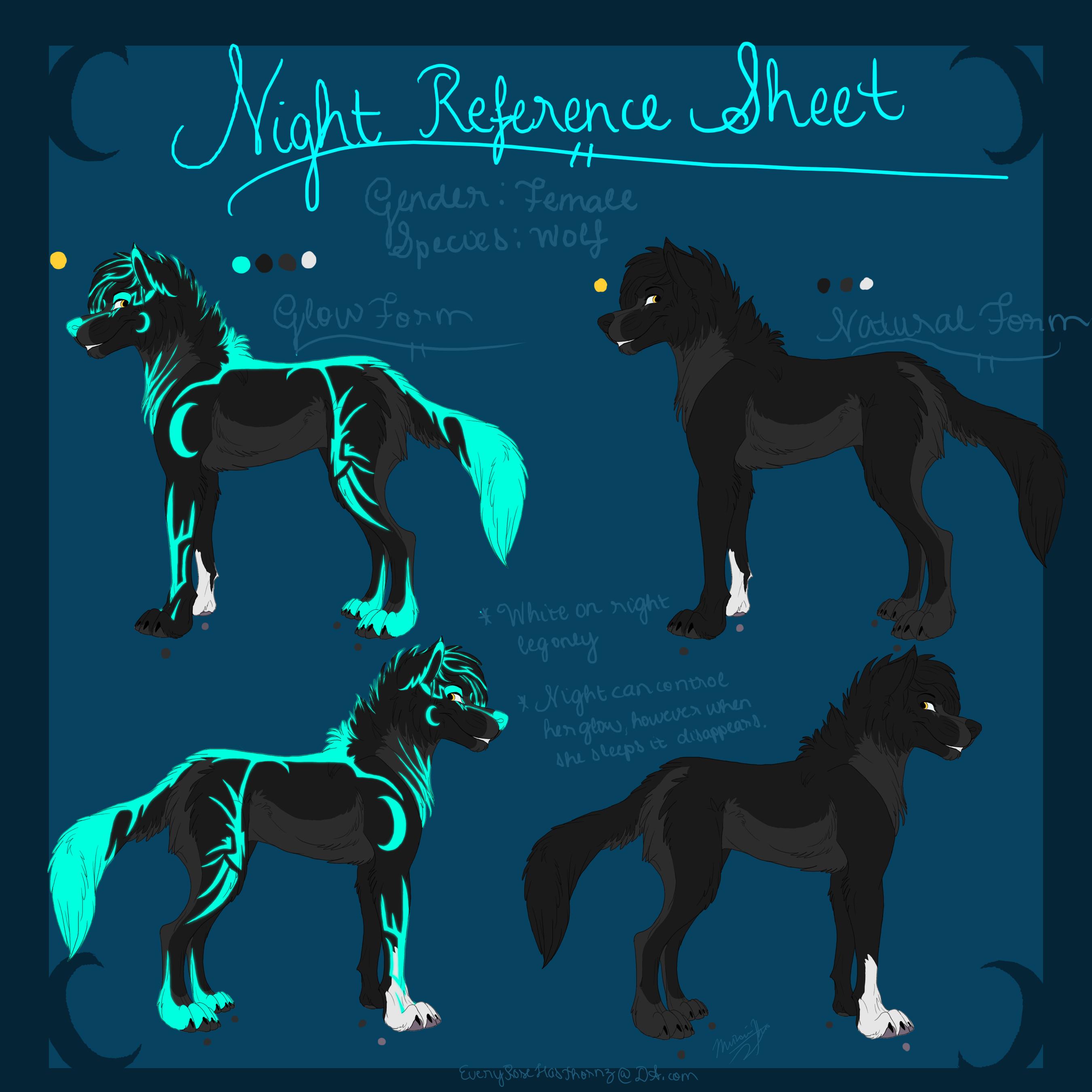 Night Reference Sheet 2013 by EveryRoseHasThornz on DeviantArt