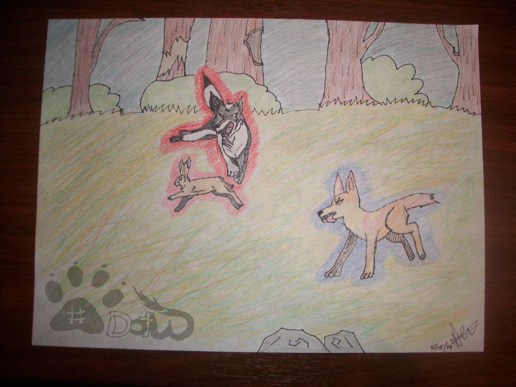 Rabbit Thief by Sparkanine on DeviantArt