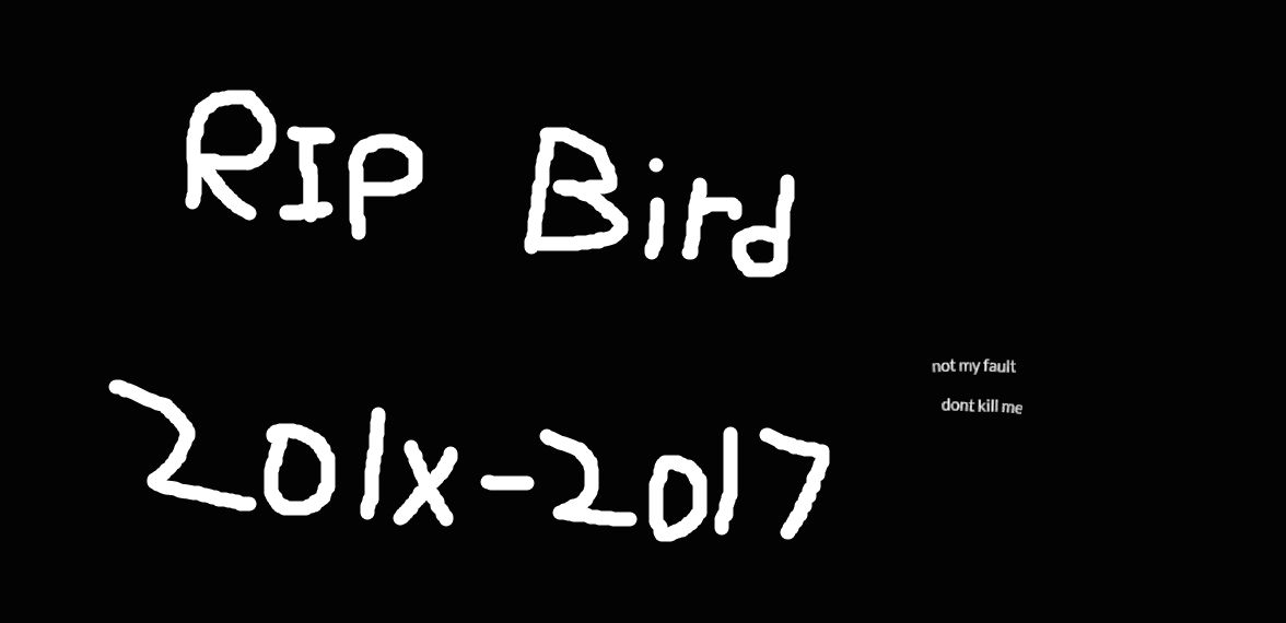 Rip Bird by StormDragon25 on DeviantArt