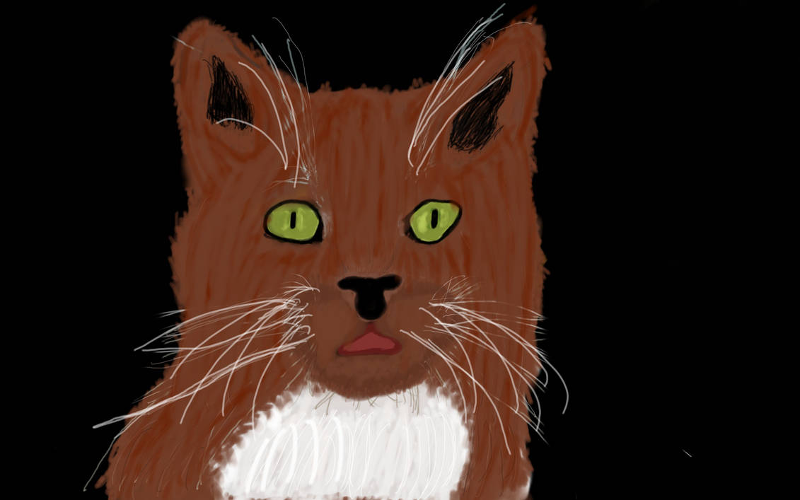 Fisrt Drawing by Worniak on DeviantArt