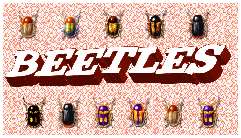 Beetles by bewhyareohin on DeviantArt