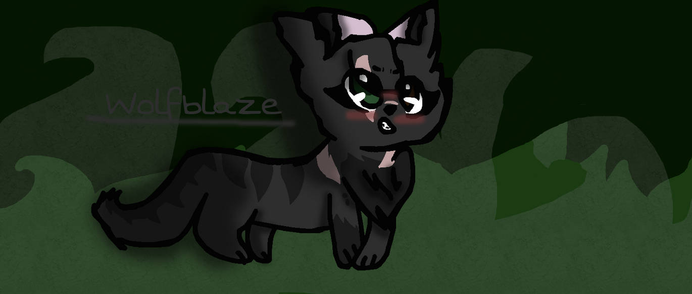 Wolfblaze redraw by PastelRibbonsxx on DeviantArt