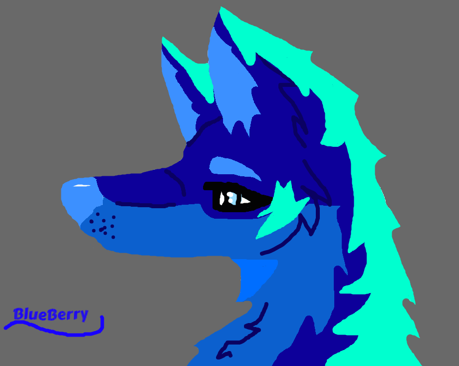 Blueberry by Dubstepwolve on DeviantArt