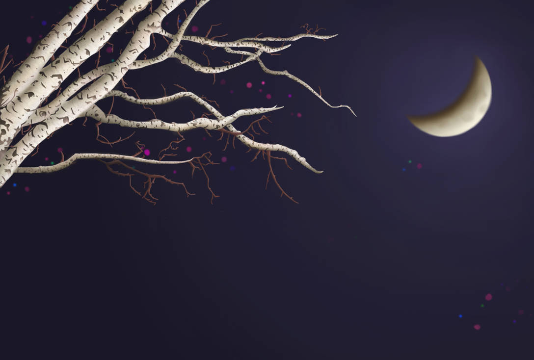 Birch Tree by Moonlight by outlawedMoon on DeviantArt