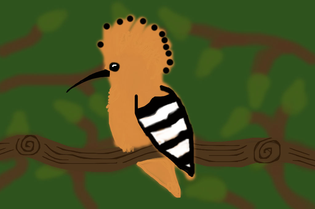 Upupa epops by Swallow6 on DeviantArt