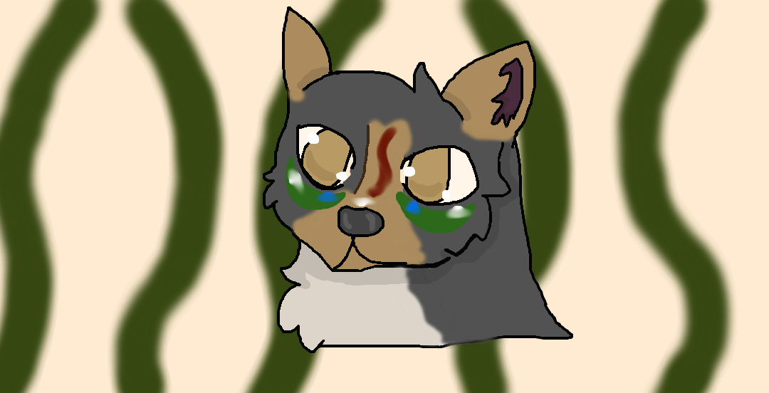 misuko by RainySkiesDA on DeviantArt