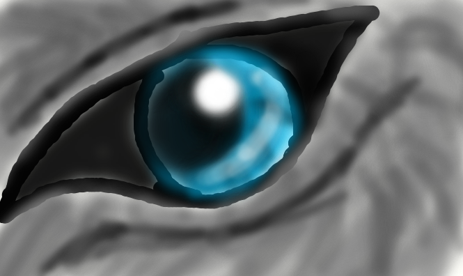 Wolf eye test1 by Wolfanimationfan on DeviantArt