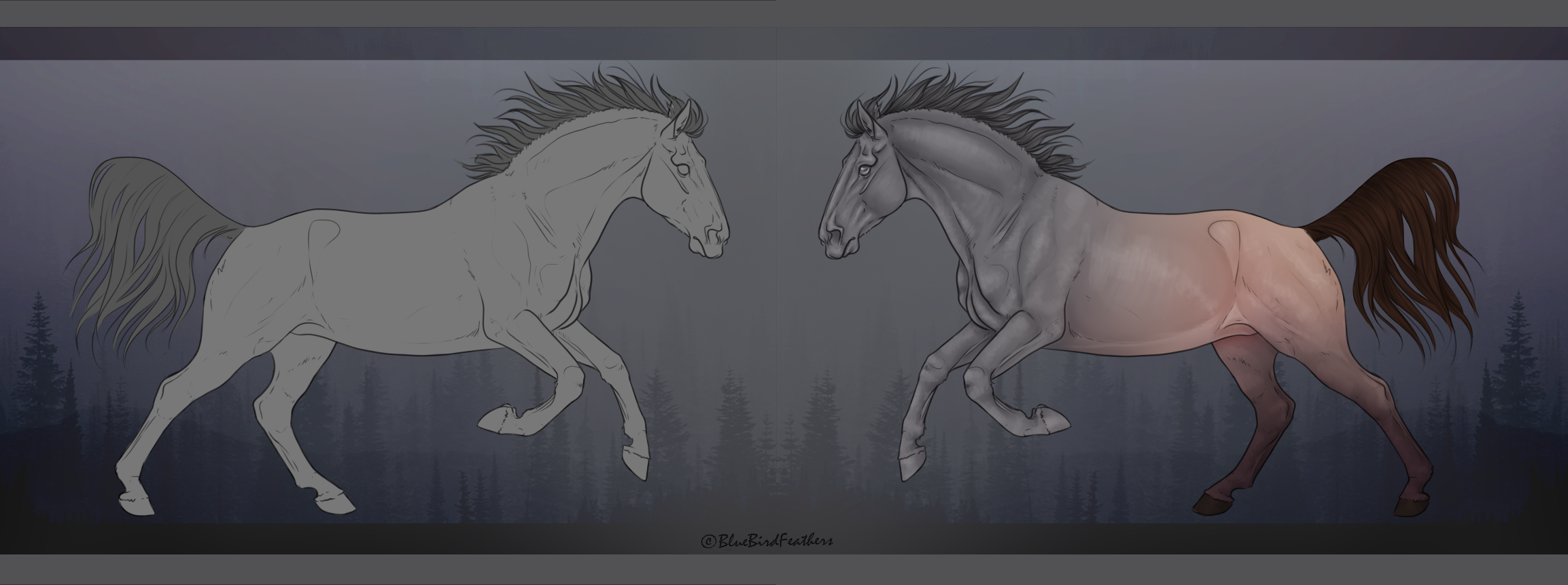 Horse|Base #4| by CattusIratus on DeviantArt