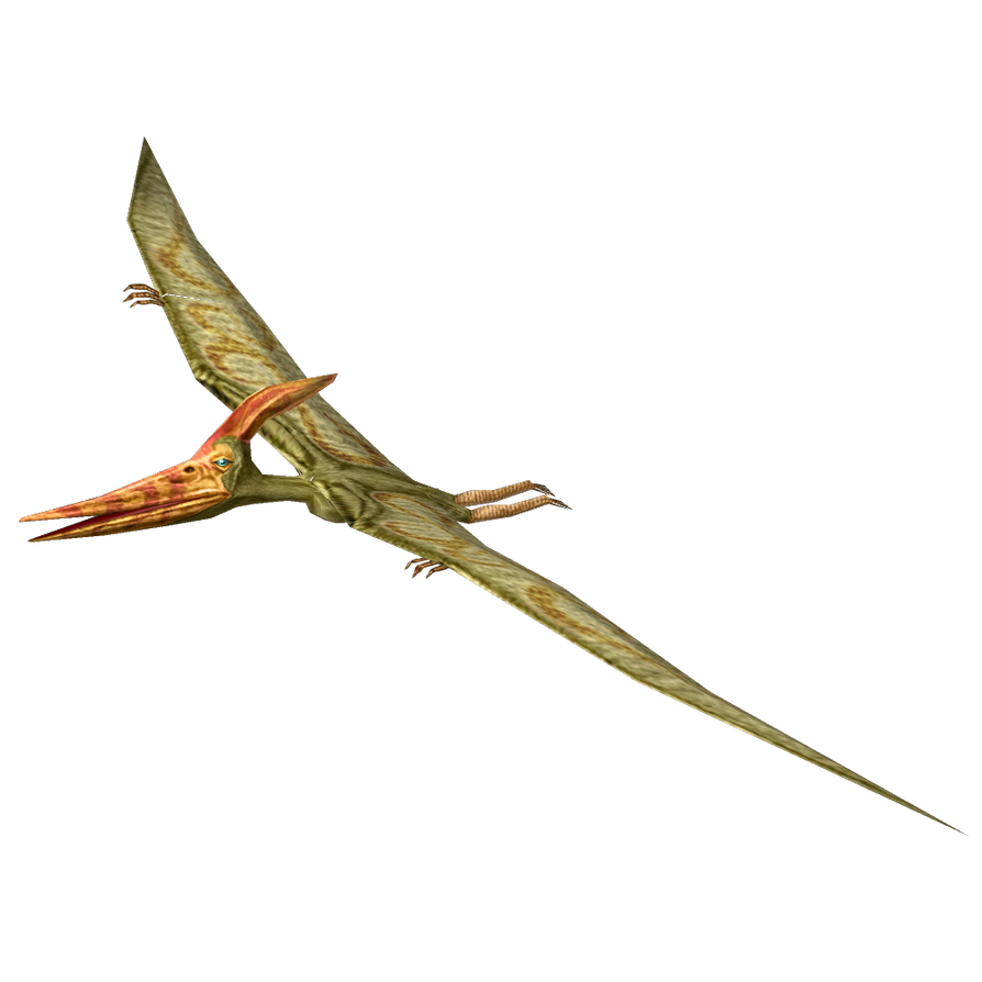 Paradactyl by Sonic-Konga on DeviantArt