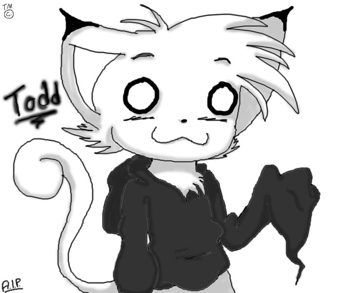 Todd the Cat by RubyGCreator on DeviantArt