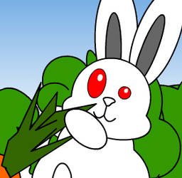 bebun - Filmographer | DeviantArt