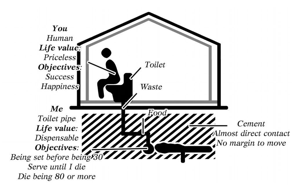 Living toilet - My first purpose, my final choice by Toilet-Boy on ...
